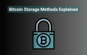 How to Store Bitcoin Safely: Security and Custody Explained - Stopsaving.com